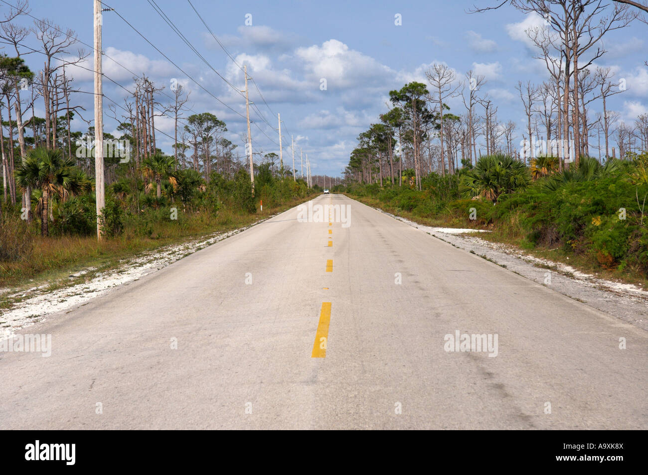 Long straight road Grand Bahama Island Stock Photo - Alamy