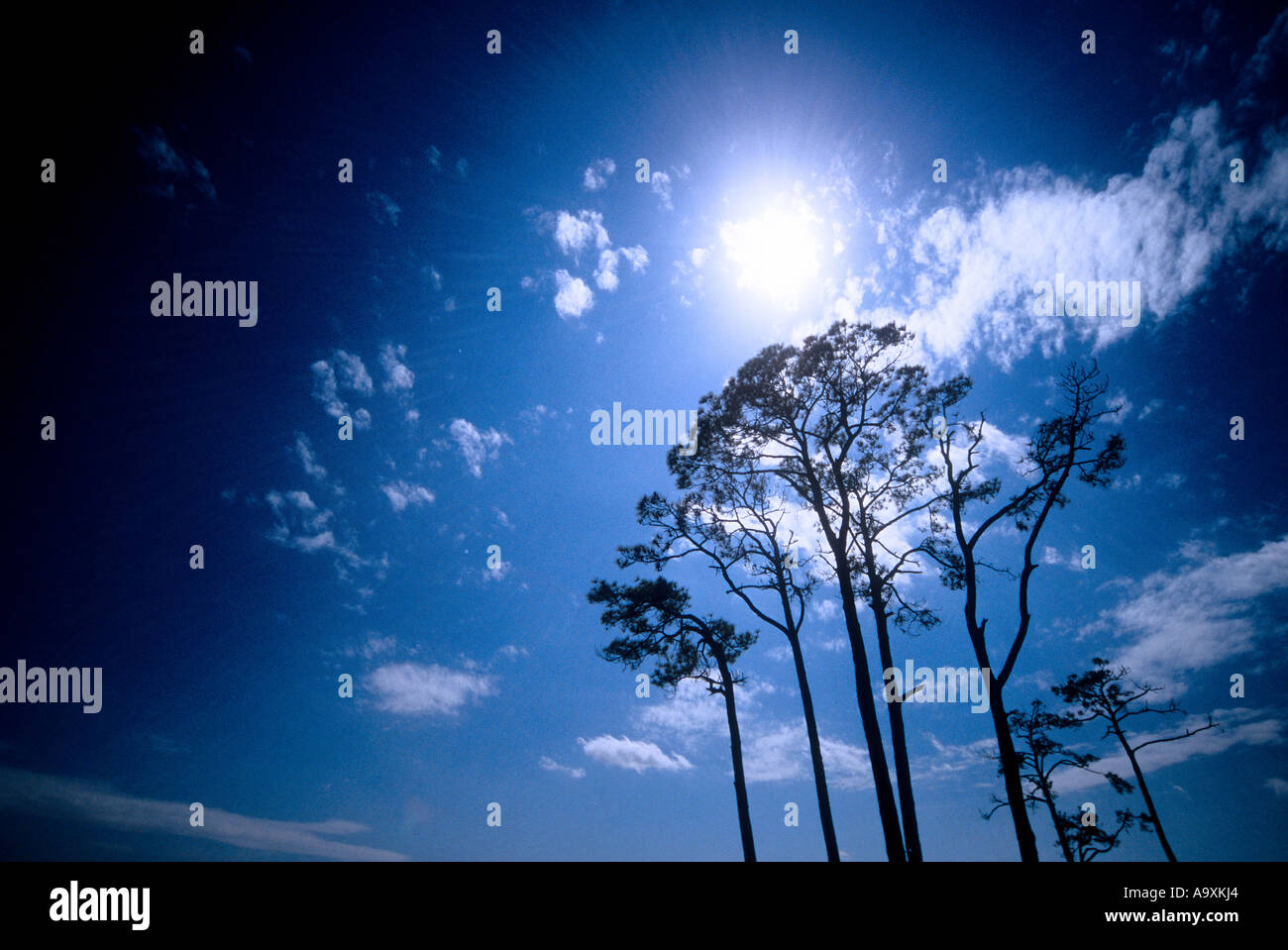 Noonday heat hi-res stock photography and images - Alamy