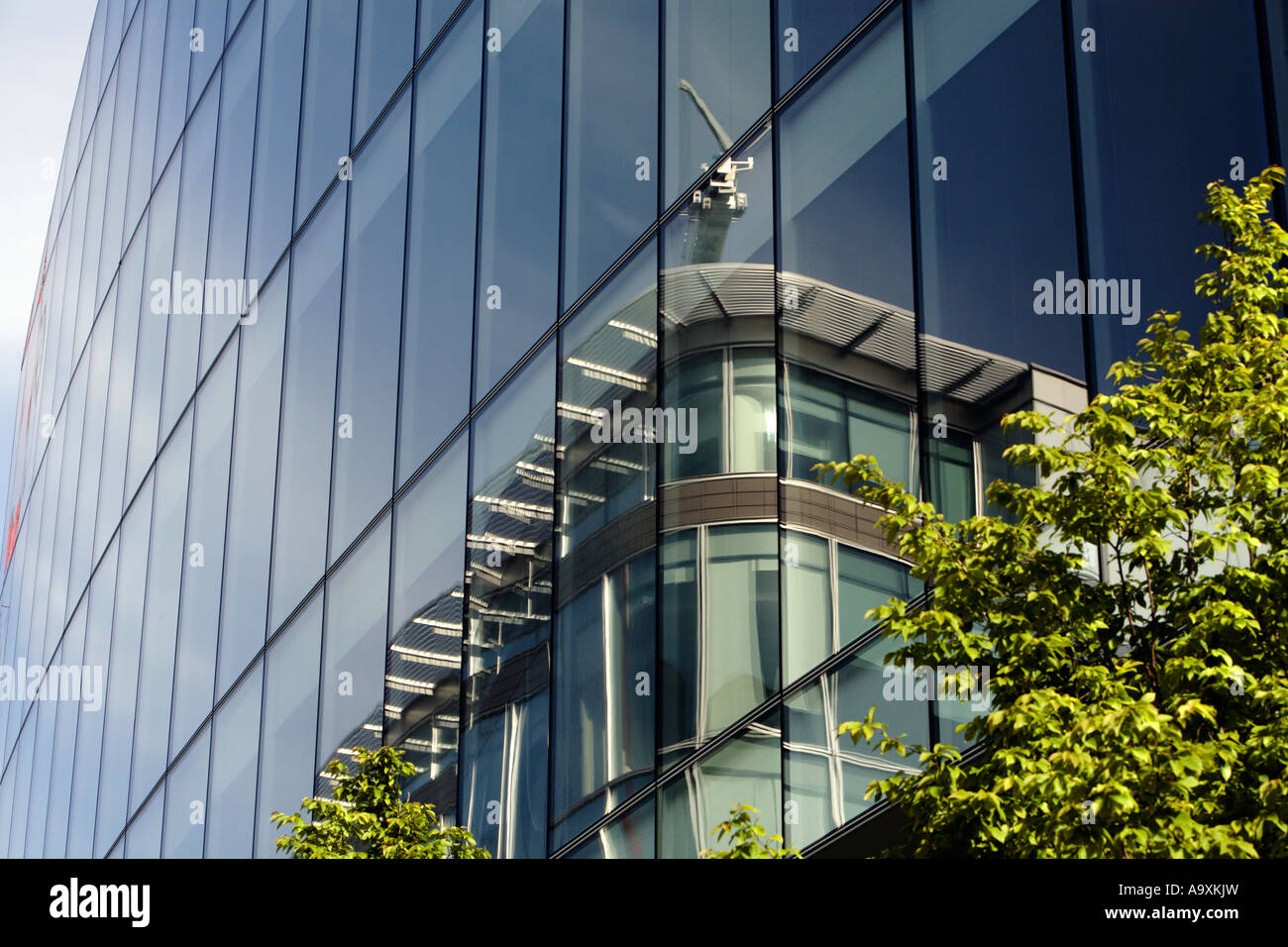 MEN Building reflected in the RBS Building Manchester. Green tree and ...