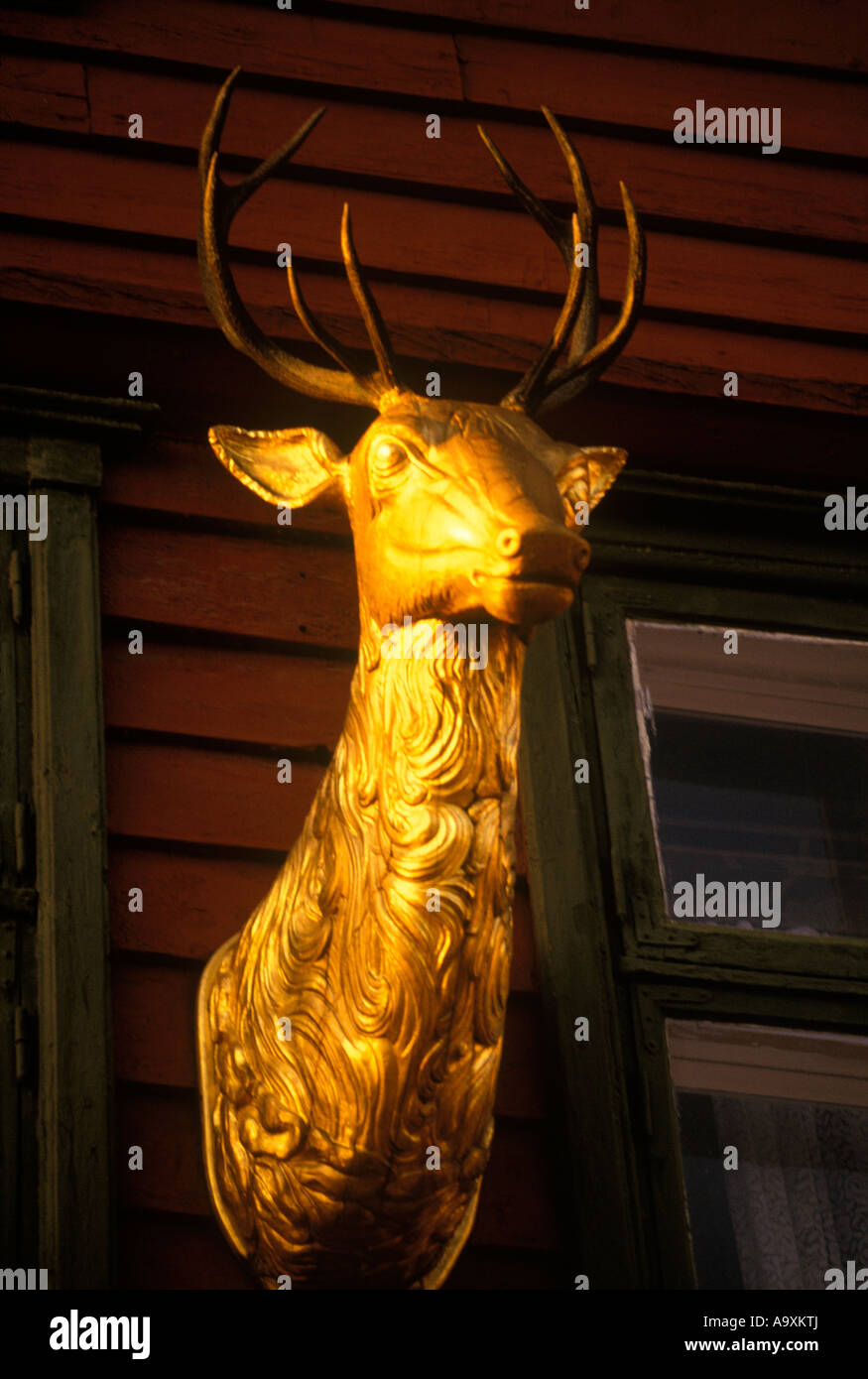 GOLDEN STAG HANSEATIC WHARF BRYGGEN BERGEN NORWAY Stock Photo - Alamy