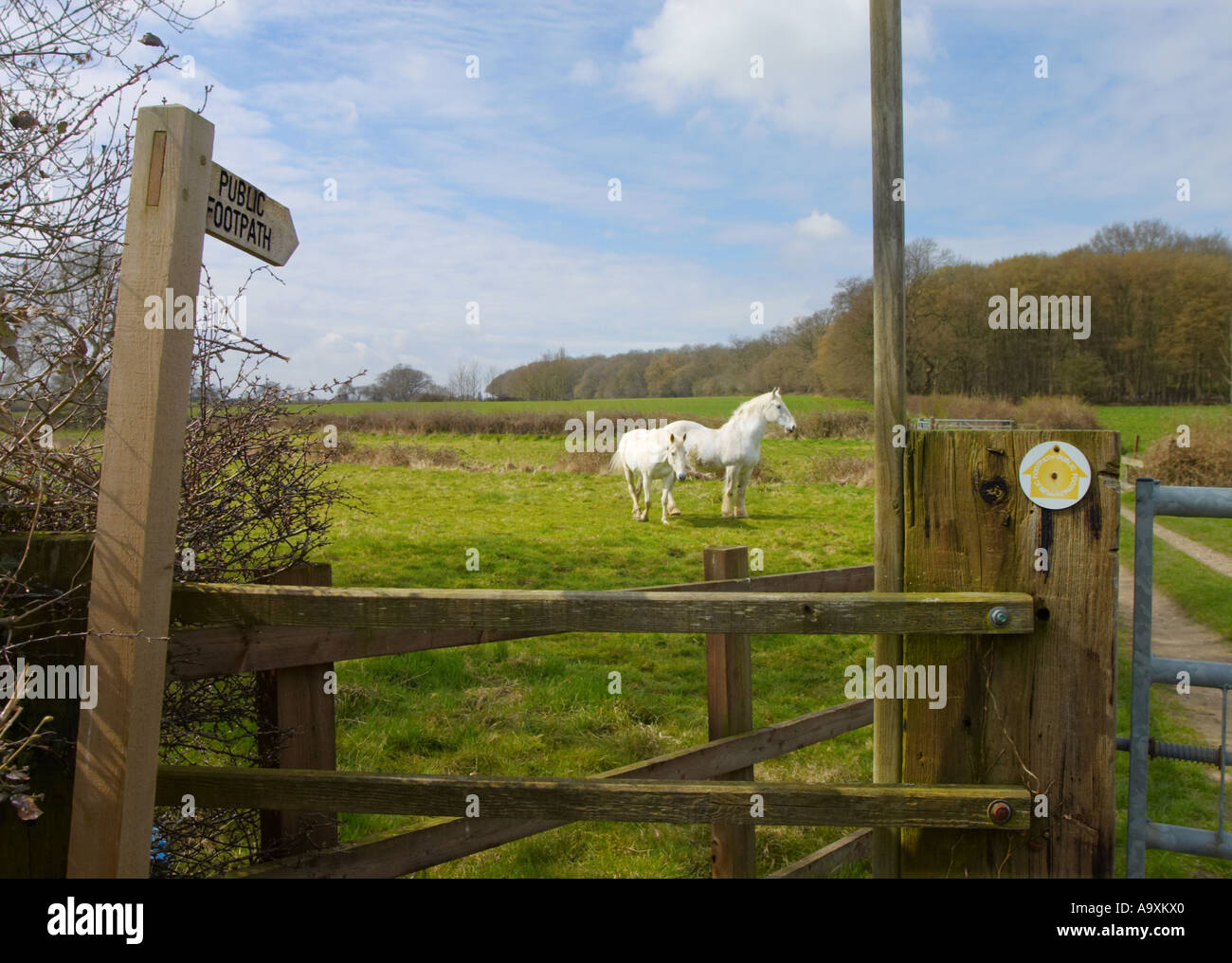 Boudicca way hi-res stock photography and images - Alamy