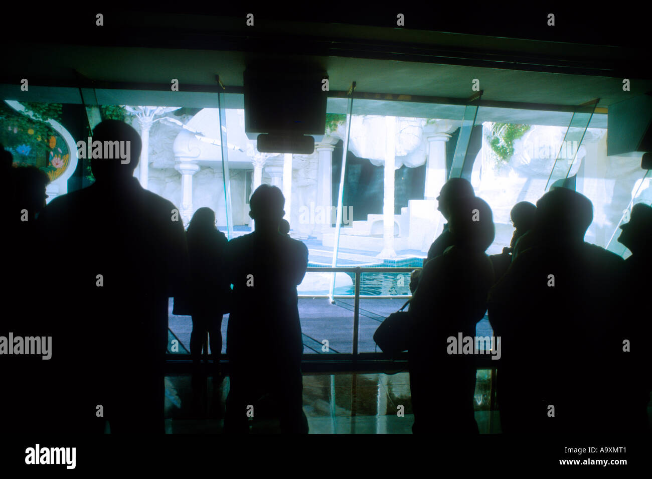 Siegfried and roy and tigers hi-res stock photography and images - Alamy