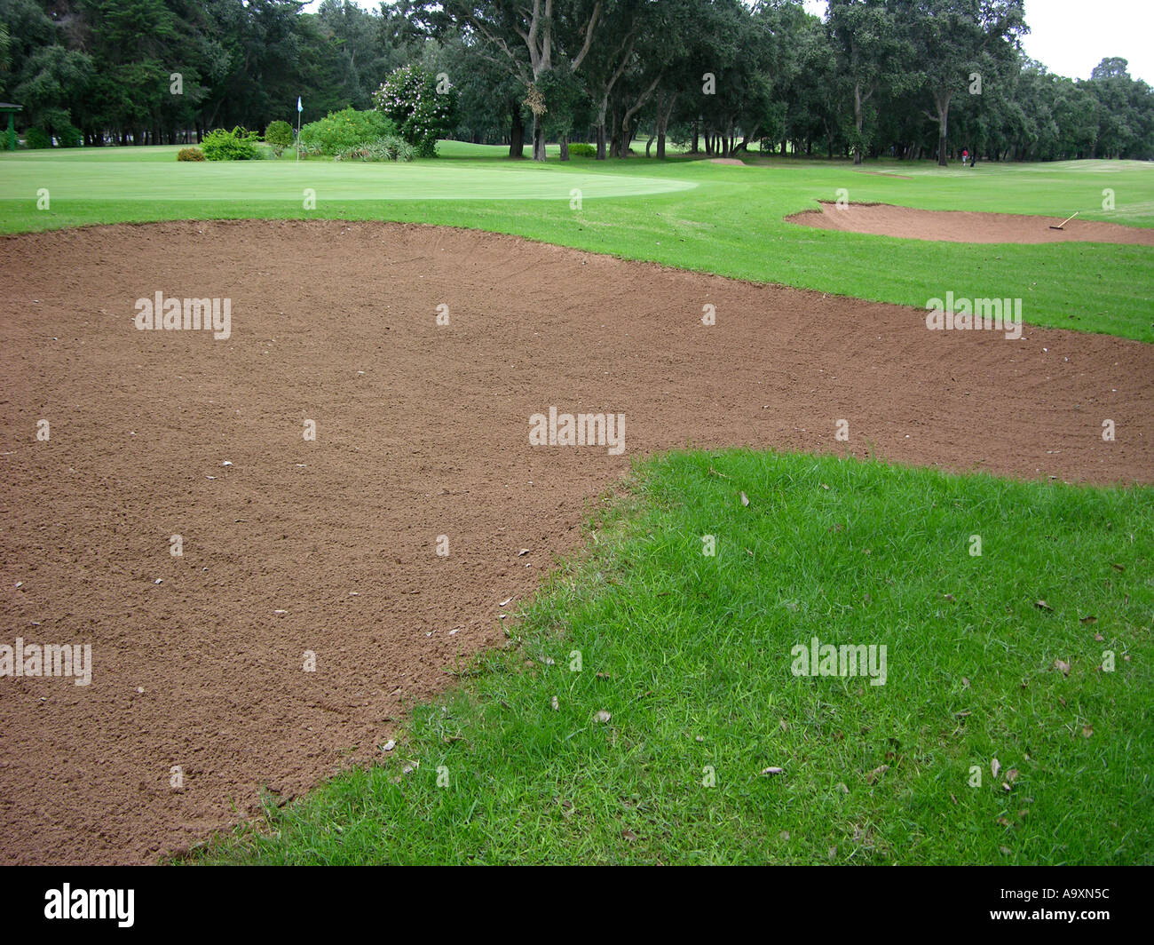 bunker in a golf course Stock Photo - Alamy