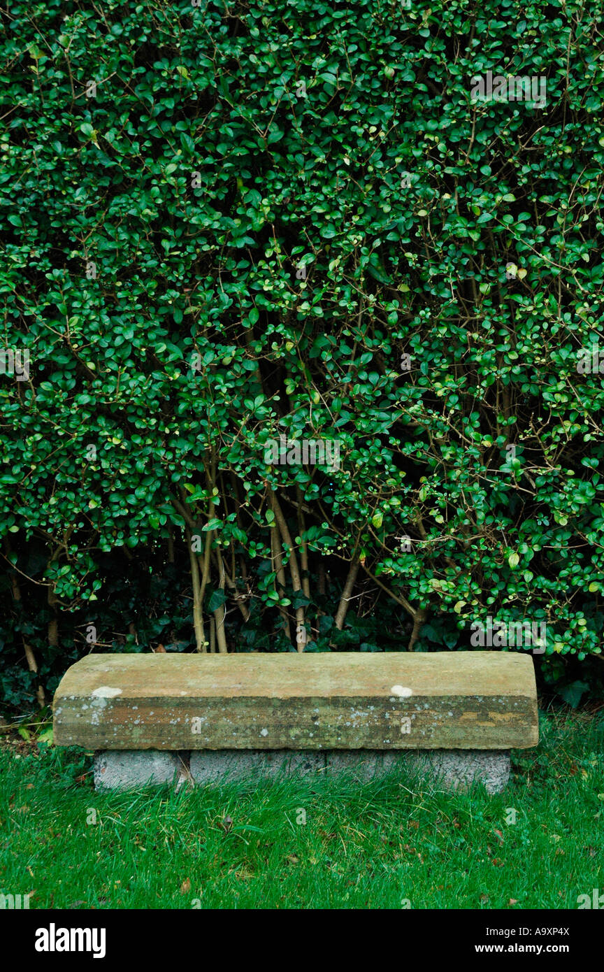 Stone garden bench by a hedge Stock Photo - Alamy