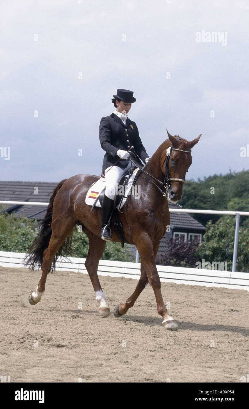 female dressage rider Stock Photo - Alamy