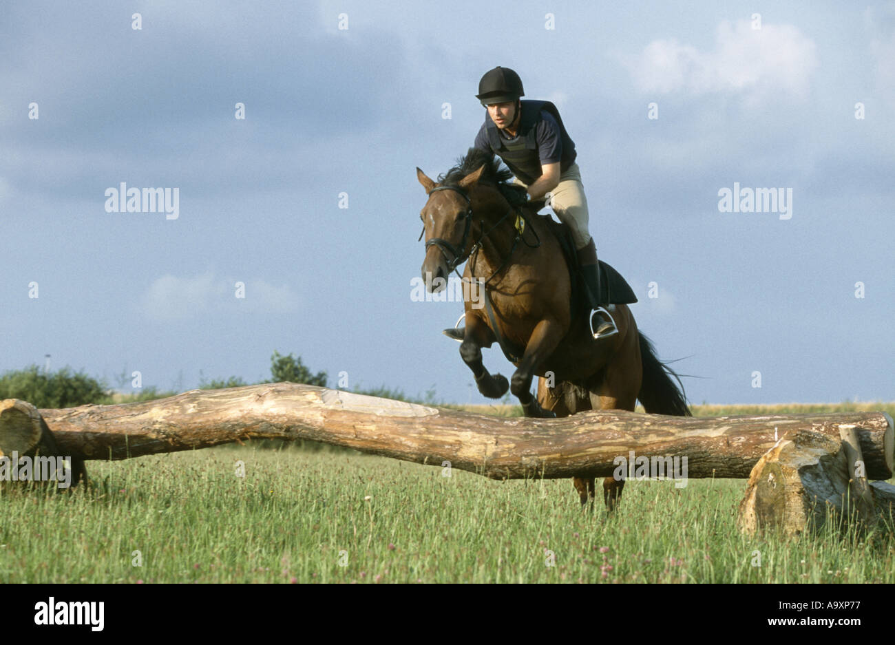 rider and horse jumping over show jump, endurance competition Stock ...