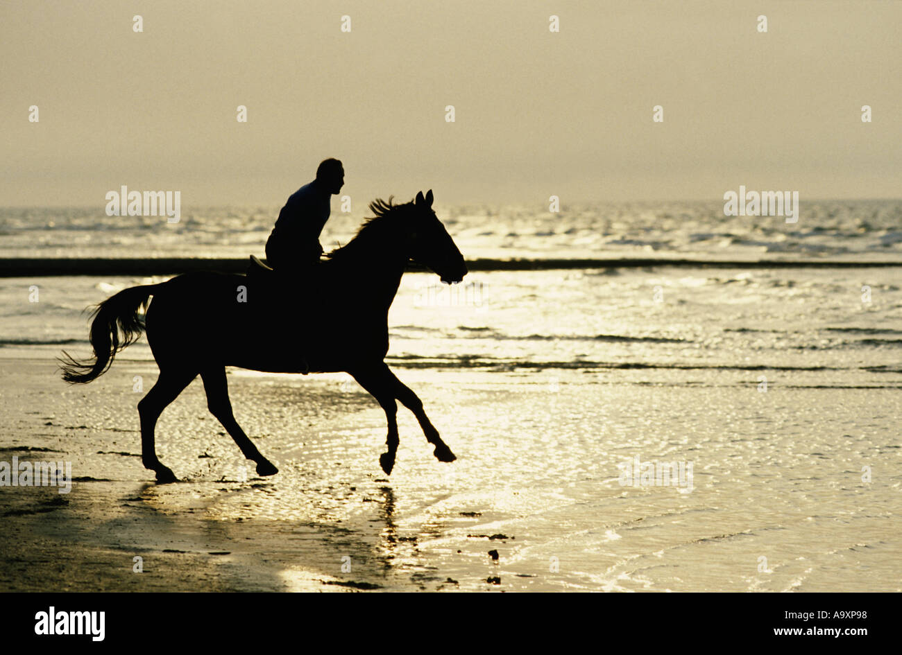 riding on beach Stock Photo - Alamy