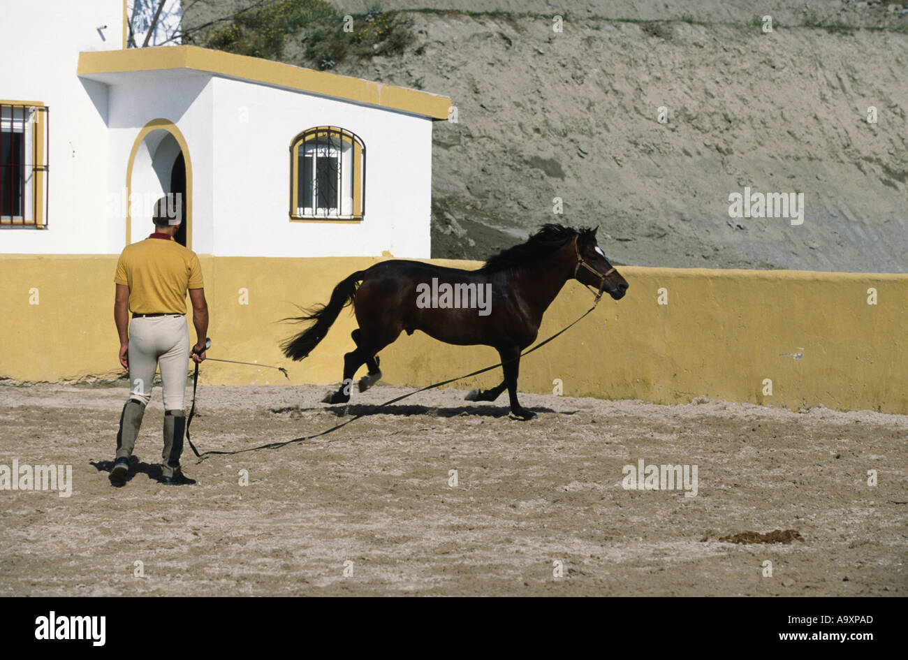 Longing to go outside hi-res stock photography and images - Alamy