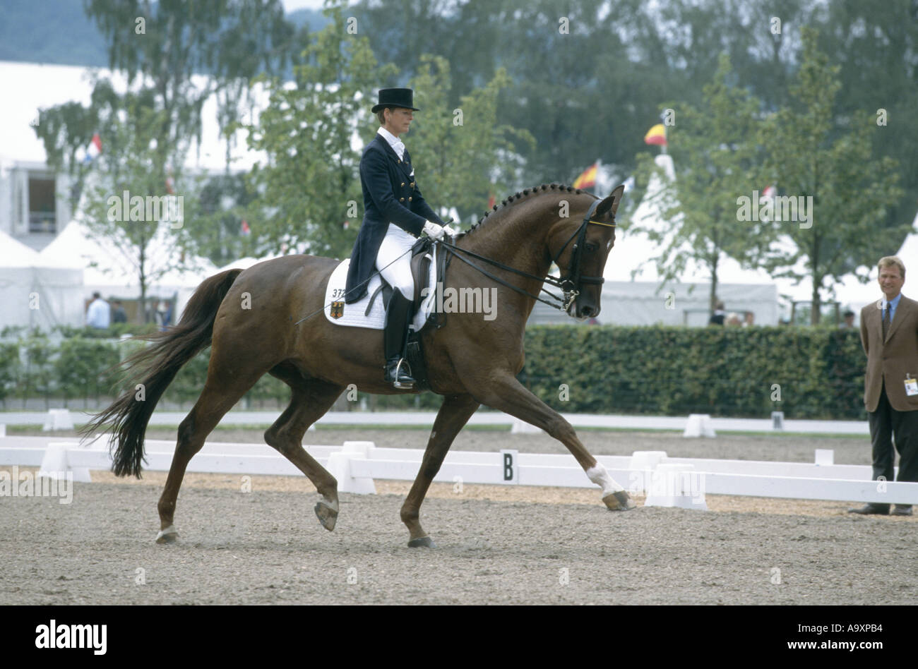 female dressage rider riding dressage horse Stock Photo - Alamy