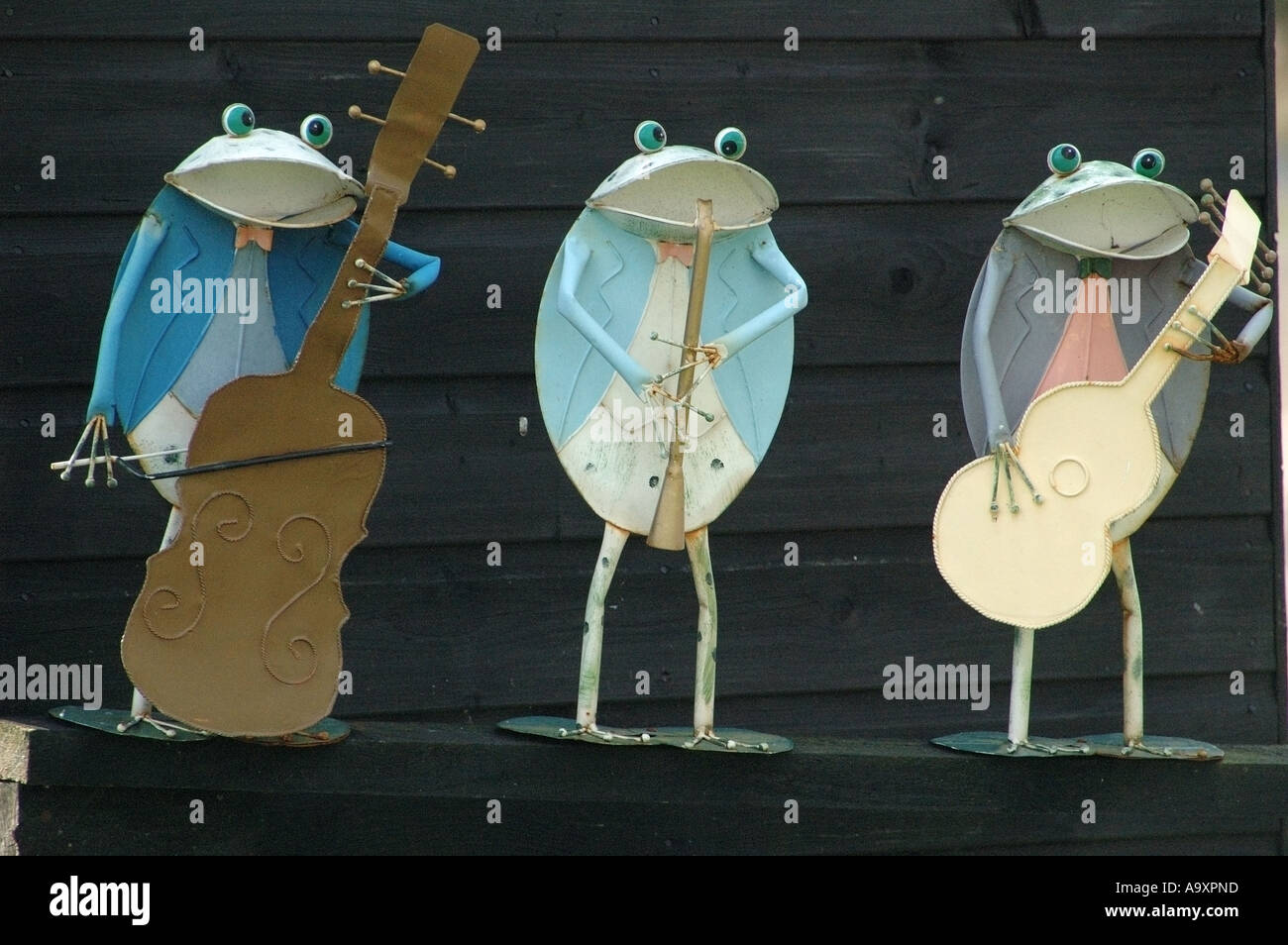 Frog band hi-res stock photography and images - Alamy