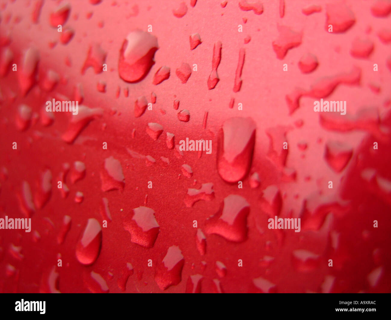Red Metallic Water Droplets Stock Photo - Alamy