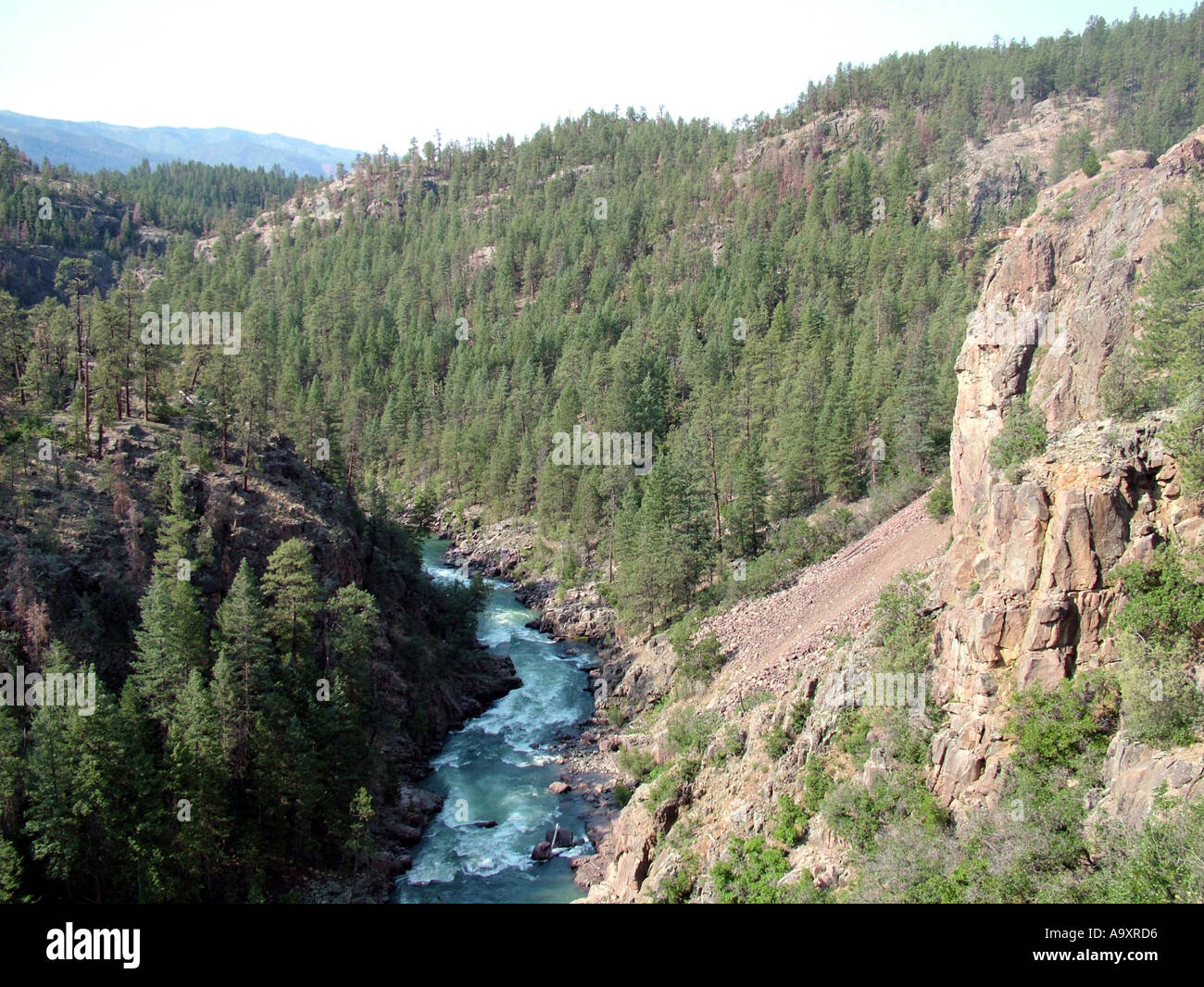 gorge at Animas River on the railway line Durango-Silverton, gorge, USA ...