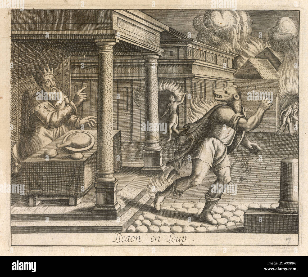 Lycaon Into Wolf Stock Photo - Alamy