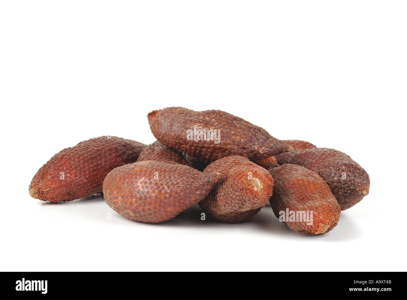 snake palm, sala palm, salak (Salacca zalacca, Salacca edulis), fruit ...