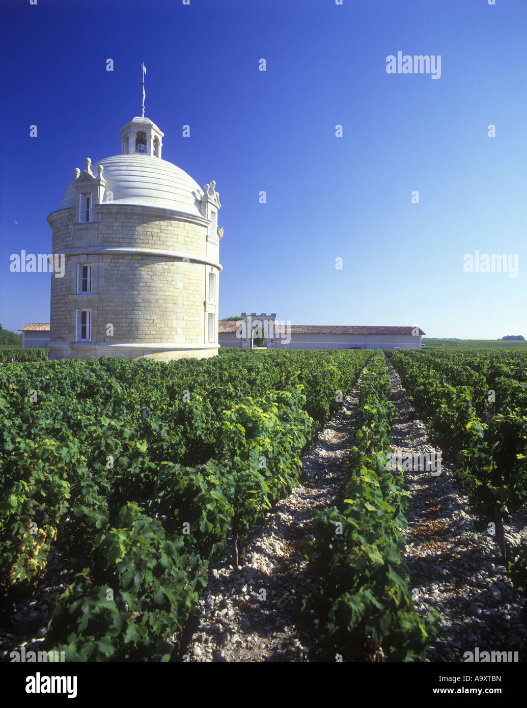 PIGEONNIER TOWER CHATEAU LATOUR VINEYARD PAUILLAC MEDOC BORDEAUX FRANCE ...