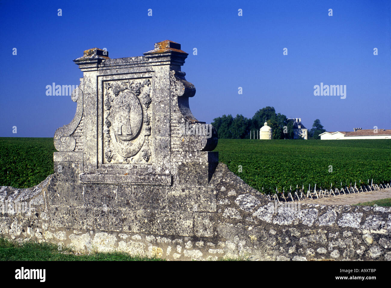 THE WALL CHATEAU LATOUR VINEYARD PAUILLAC BORDEAUX FRANCE Stock Photo ...
