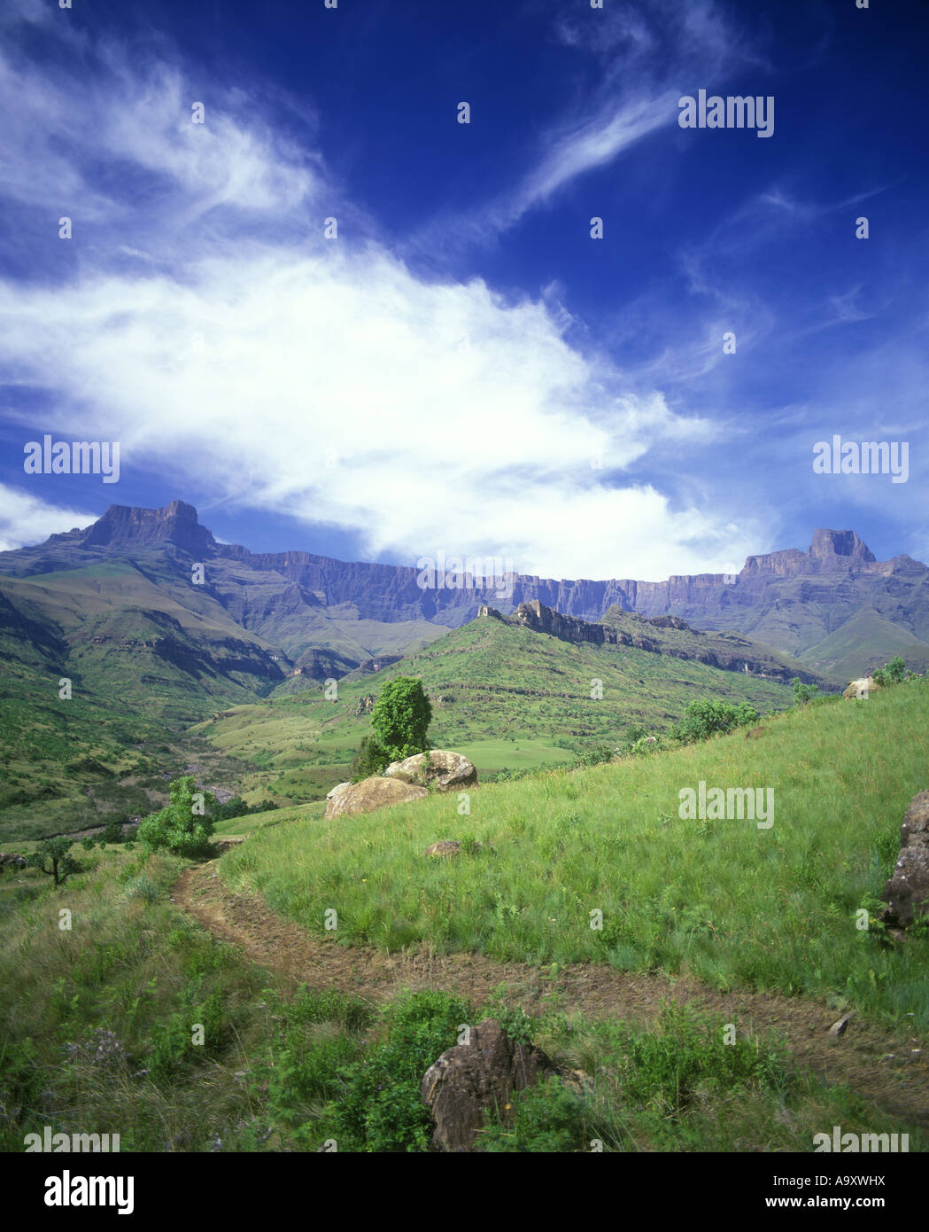 NATURAL AMPHITHEATER ROYAL NATAL NATIONAL PARK DRAKENSBURG SOUTH AFRICA ...