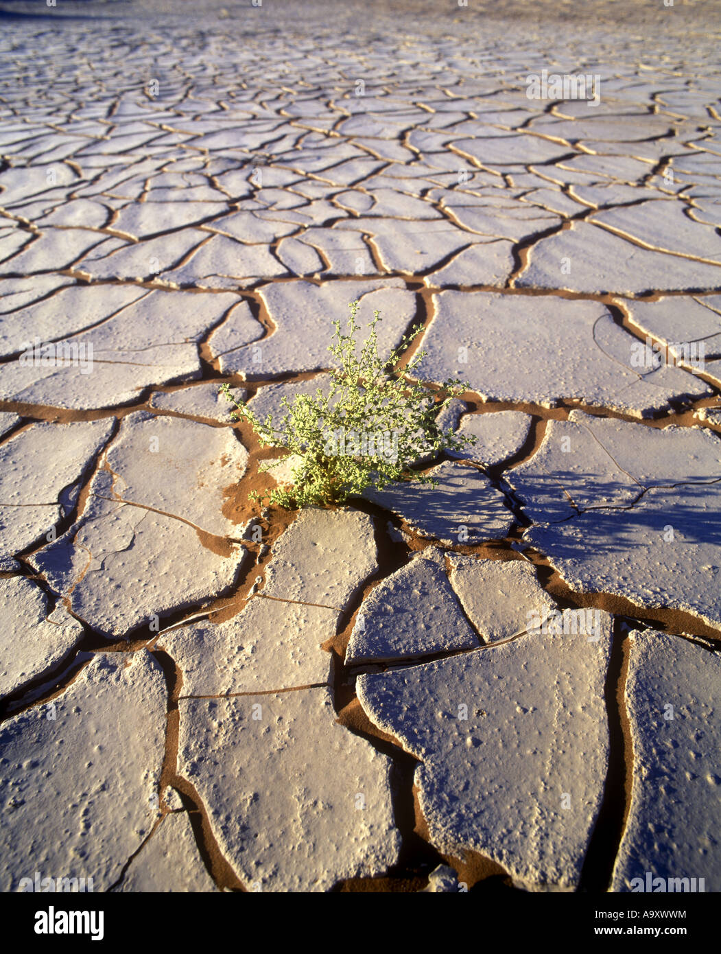 Patterns in the pavement hi-res stock photography and images - Alamy