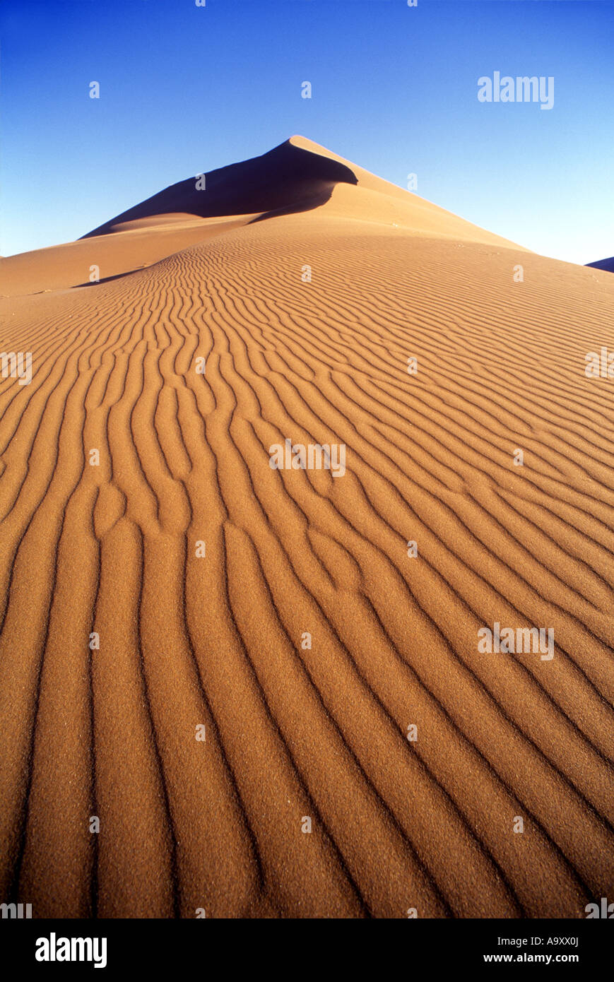 RIPPLES IN GIANT DESERT SAND DUNE SOSSUSVLEI NAMIB NAUKLUFT DESERT PARK ...