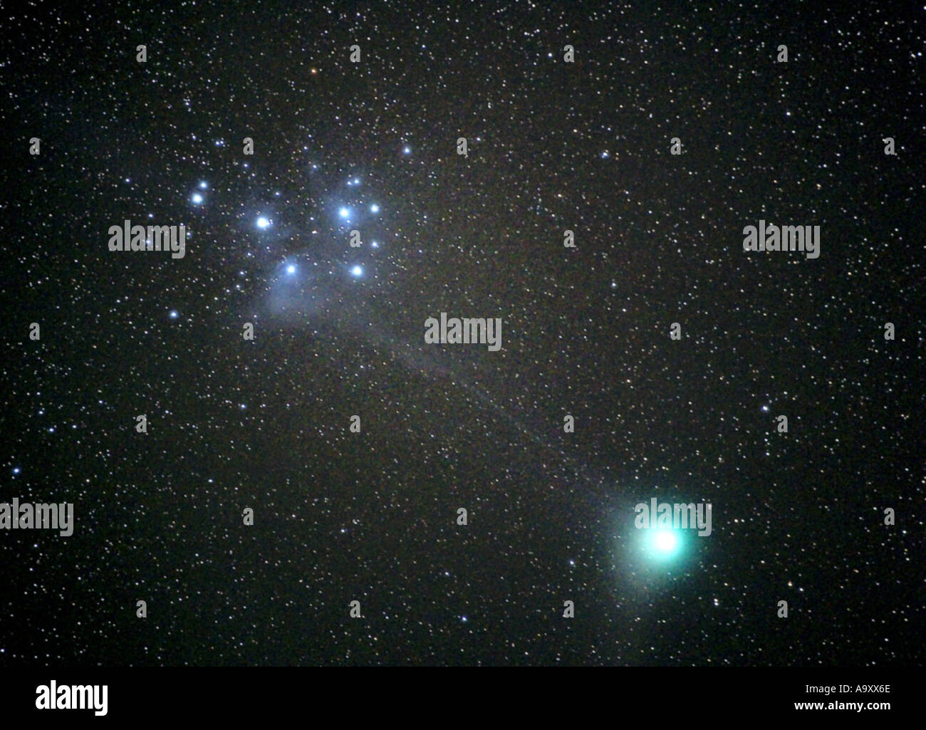 comet Machholz Pleiades, Germany, Baden-Wuerttemberg Stock Photo - Alamy