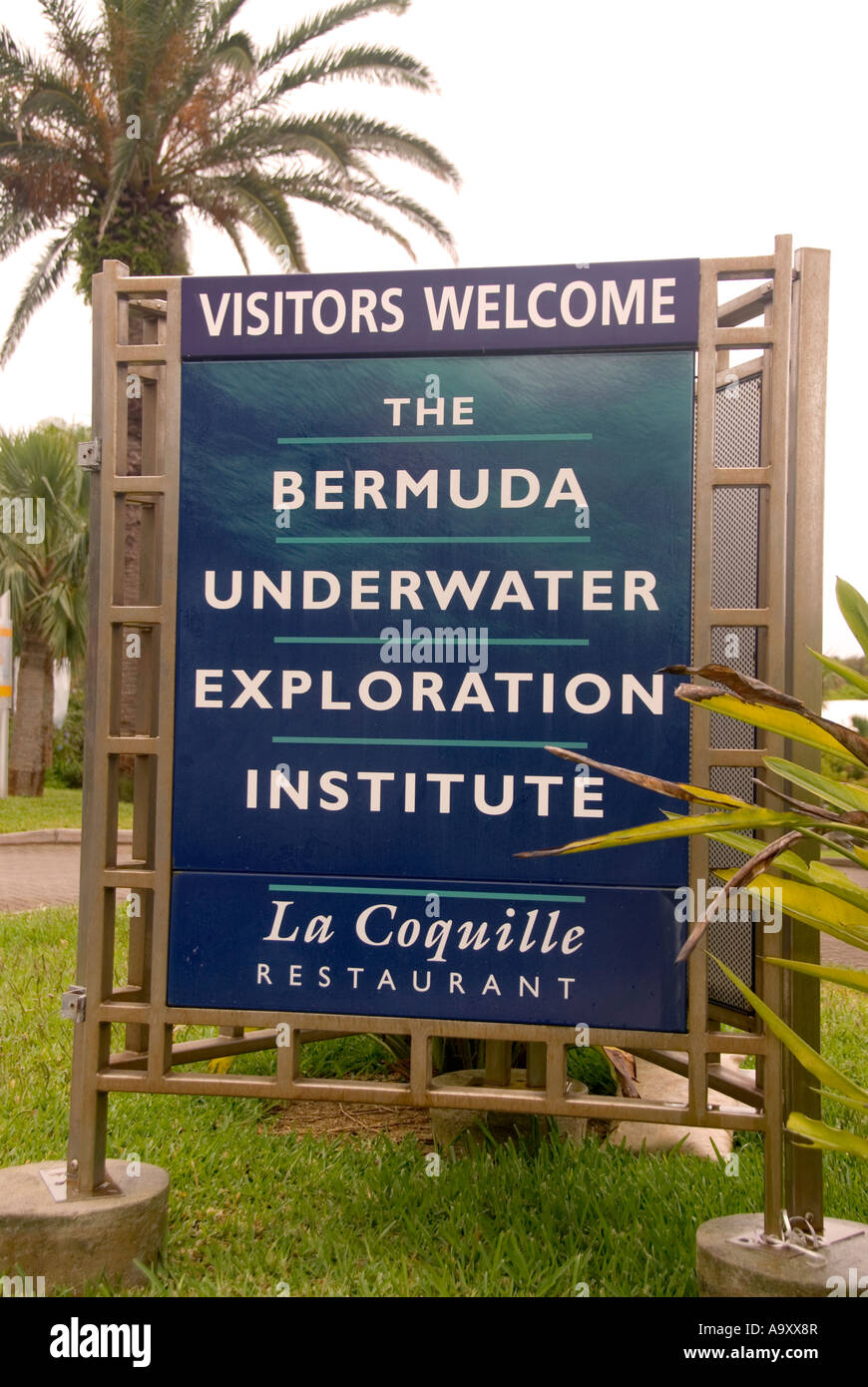 Bermuda Underwater Exploration Institute