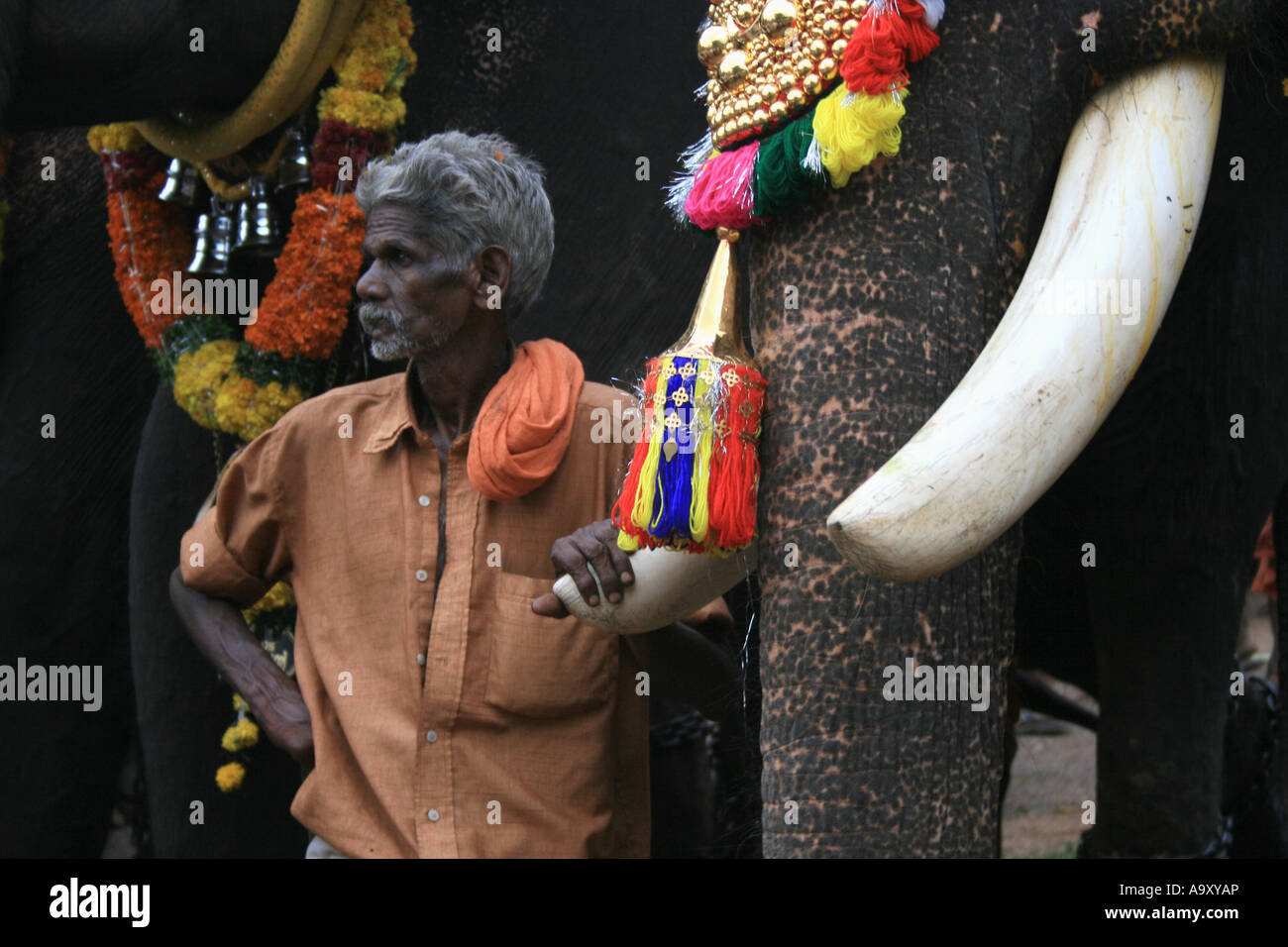 Luminous jewellery hi-res stock photography and images - Alamy