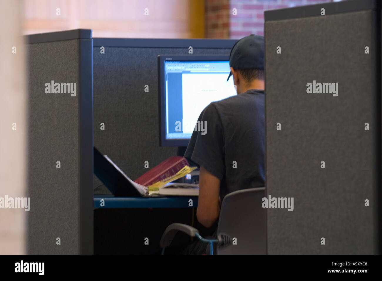 College student working at a computer in a carrel at a college library ...