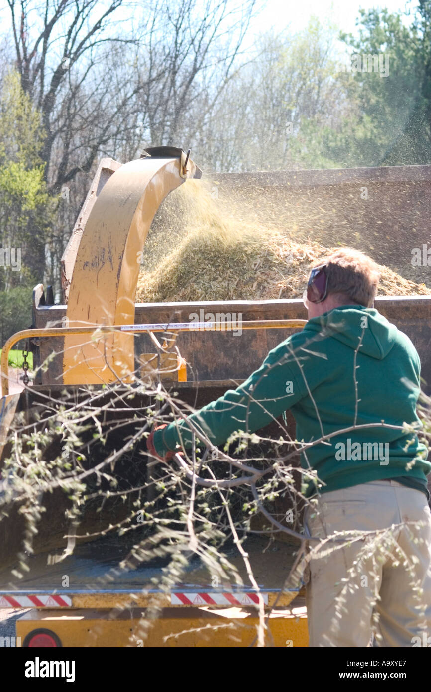 Man loading branches into a wood chipping machine Stock Photo - Alamy