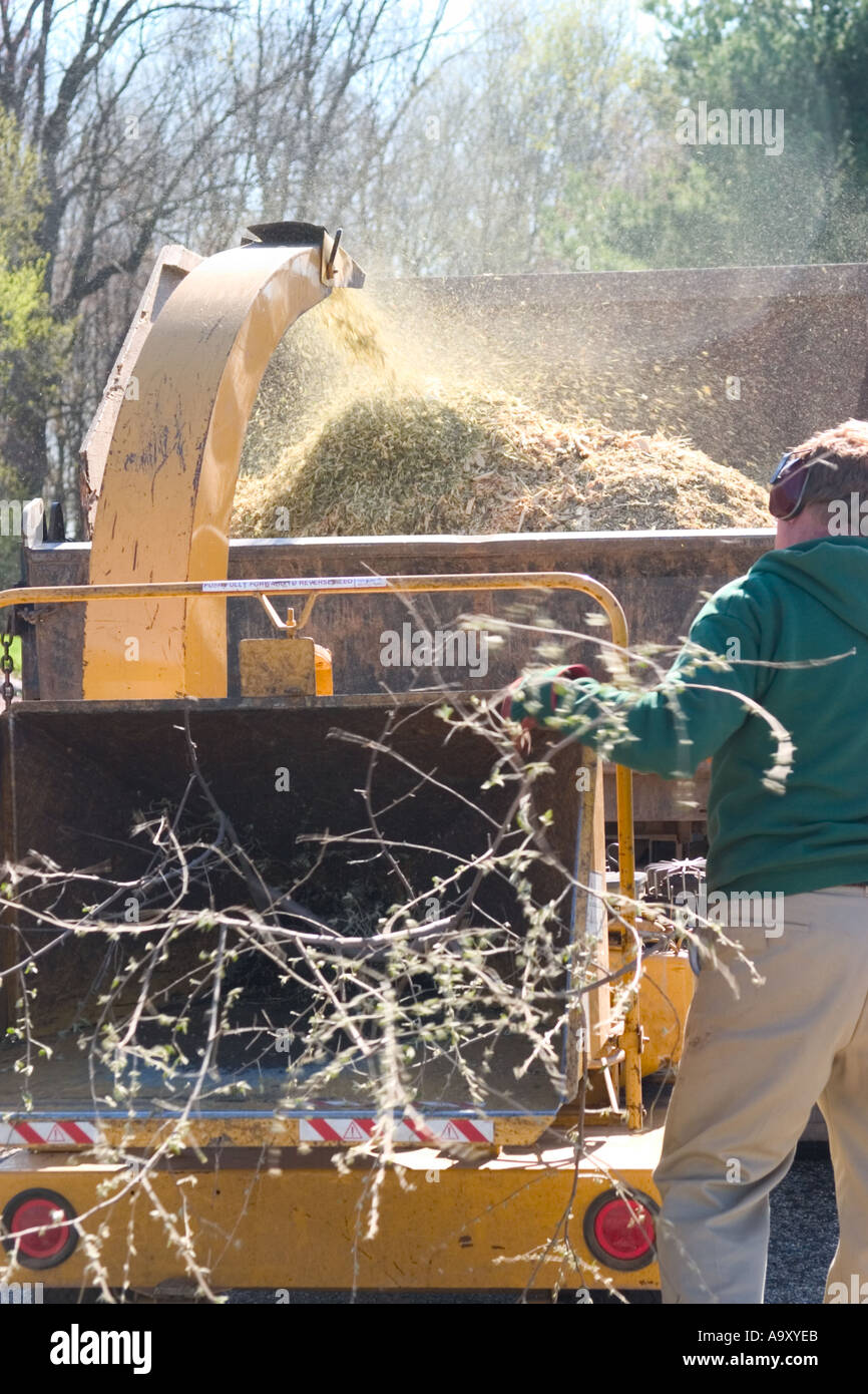 Man loading branches into a wood chipping machine Stock Photo - Alamy