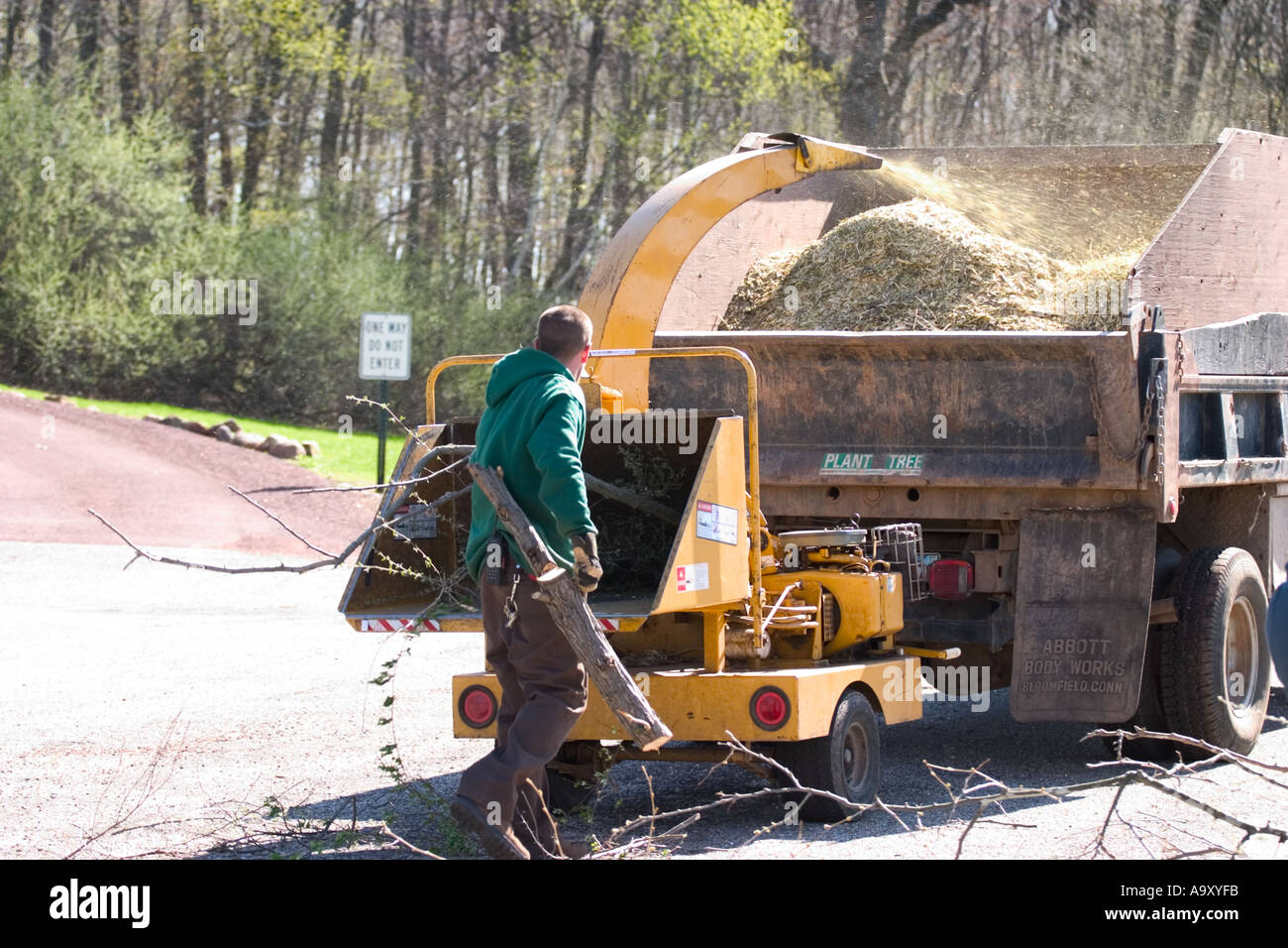 Man loading branches into a wood chipping machine Stock Photo - Alamy