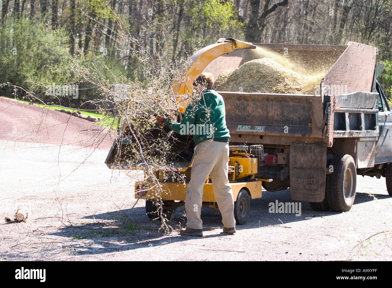 Man loading branches into a wood chipping machine Stock Photo - Alamy