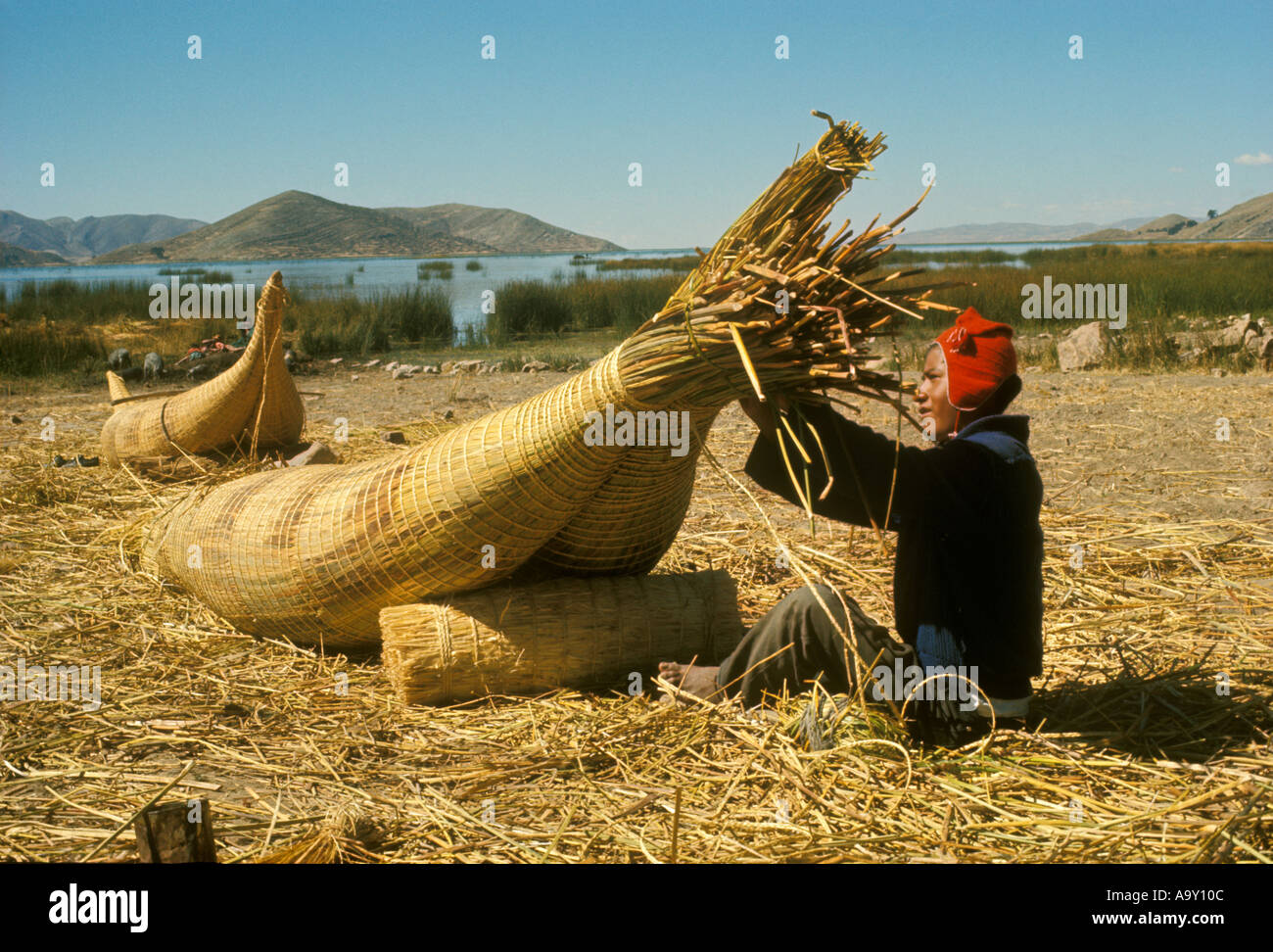 Aymara Indian fisherman making reed raft called balsa de totora on ...