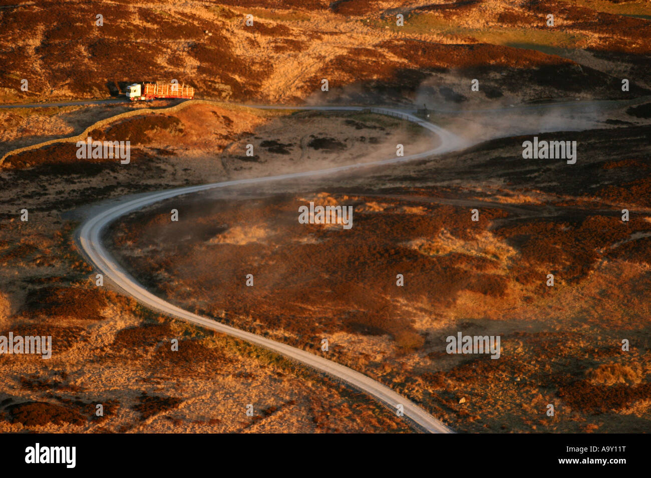 A lumber logging wagon on a small dusty road hauling a load of timber ...