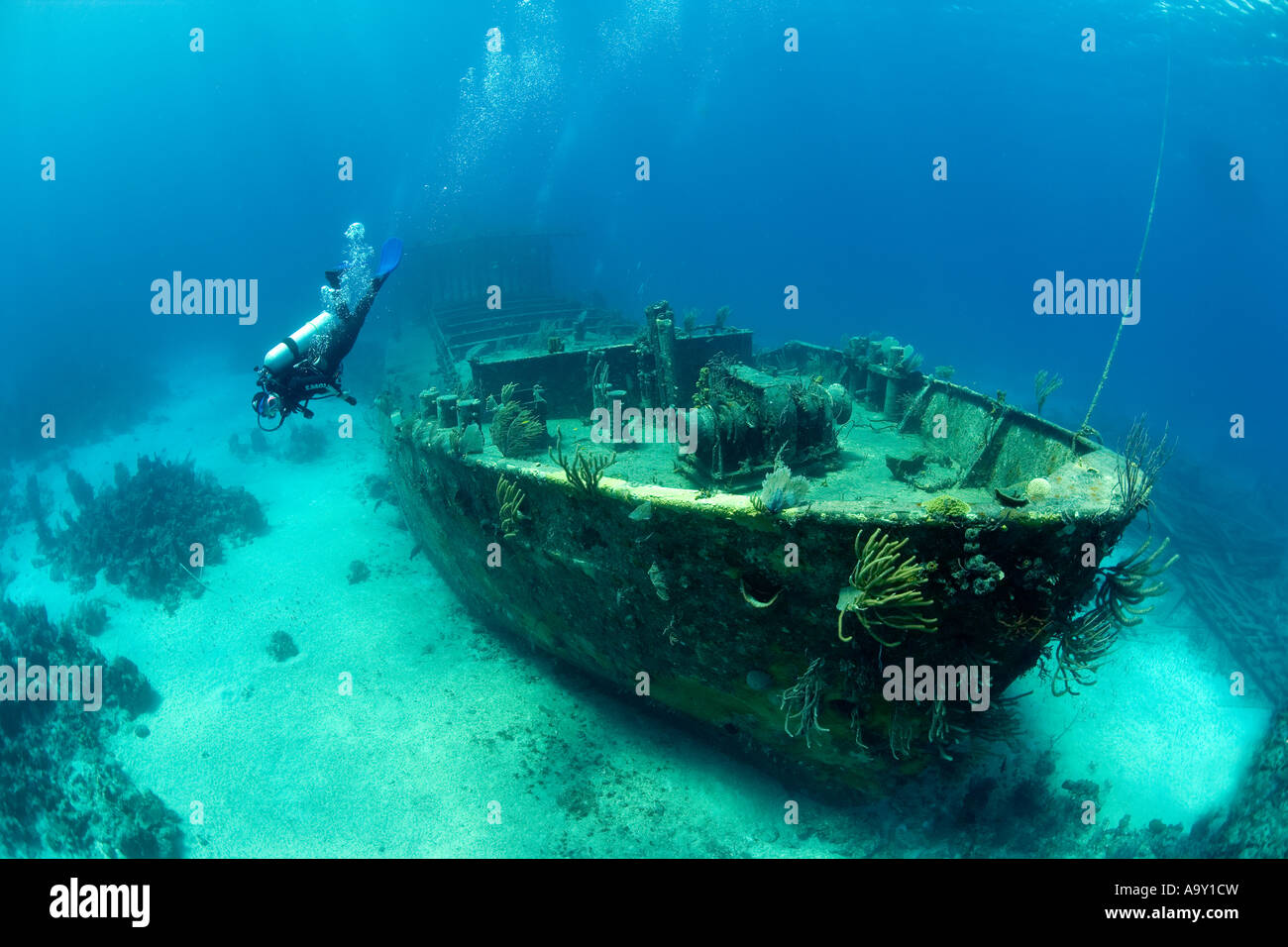 Shipwreck of the Willaurie a 150 foot island freighter as seen in its ...