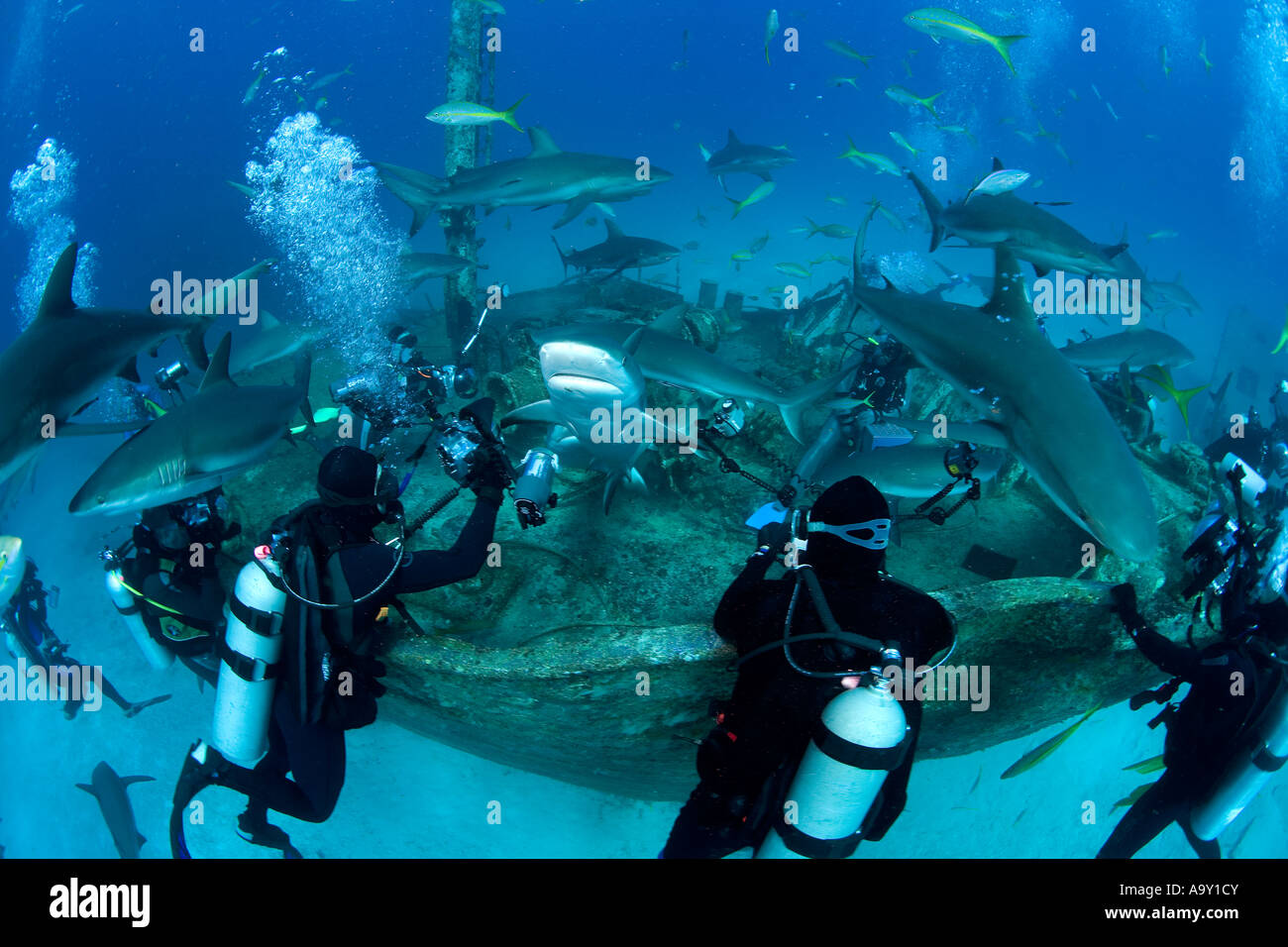 Ray of hope underwater hi-res stock photography and images - Alamy