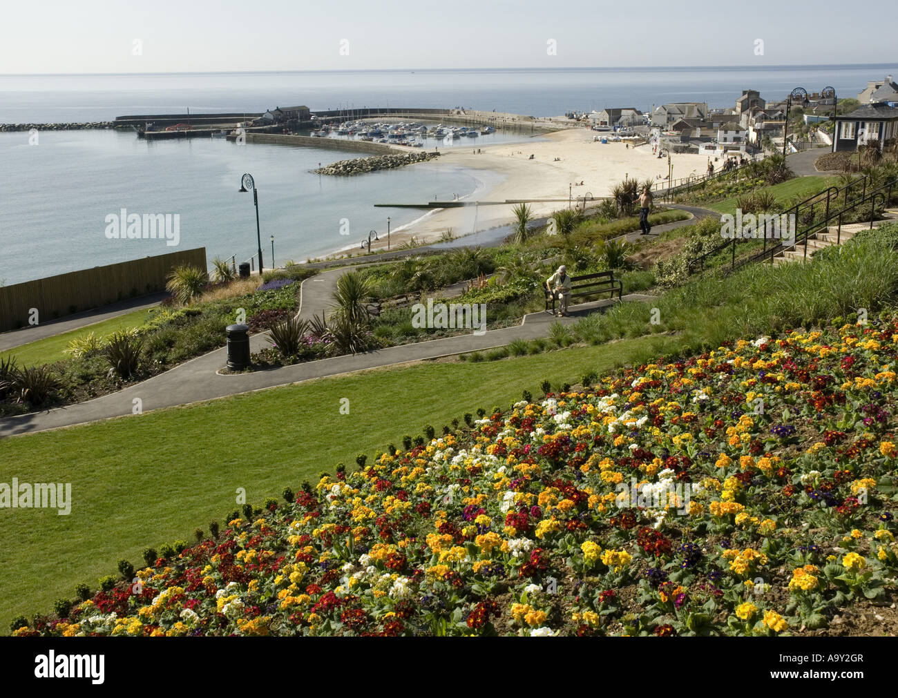 Harbour area and The Cobb at Lyme Regis, Dorset, viewed with the newly ...