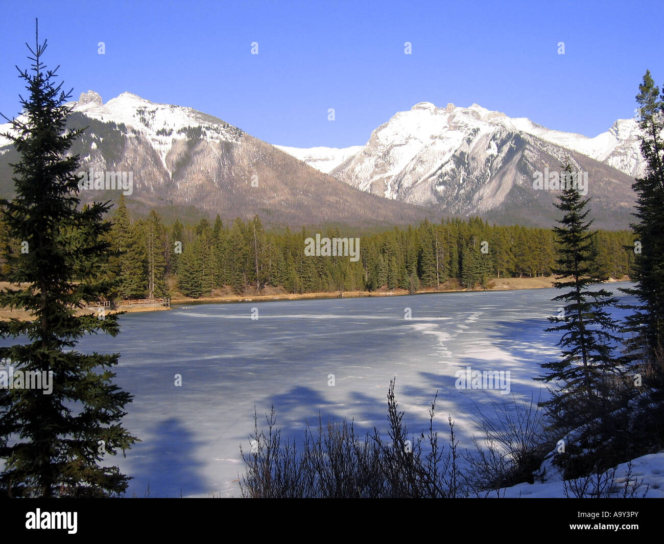 Banff johnson lake trees hi-res stock photography and images - Alamy