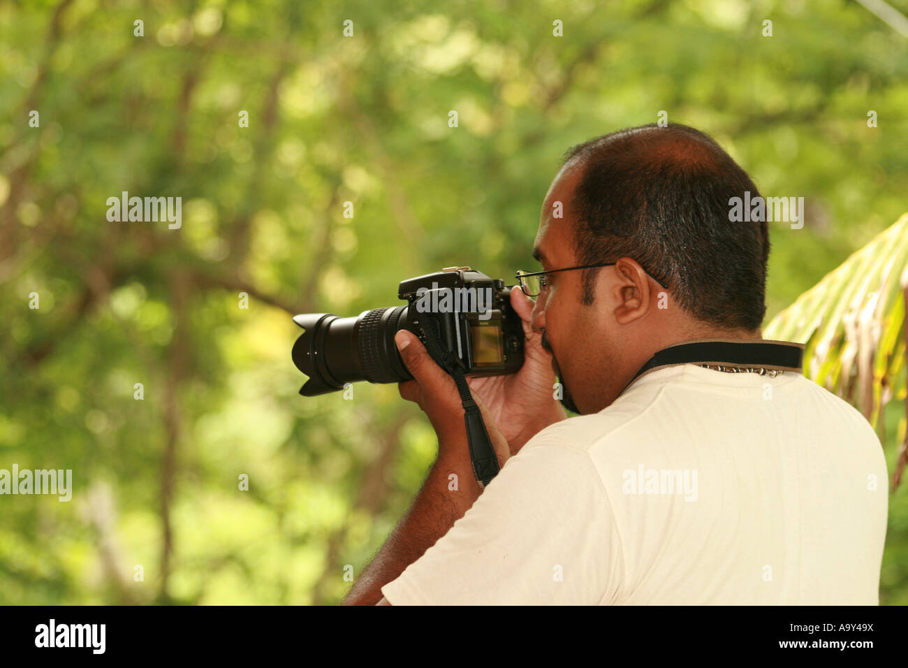 Photographer in action Stock Photo - Alamy
