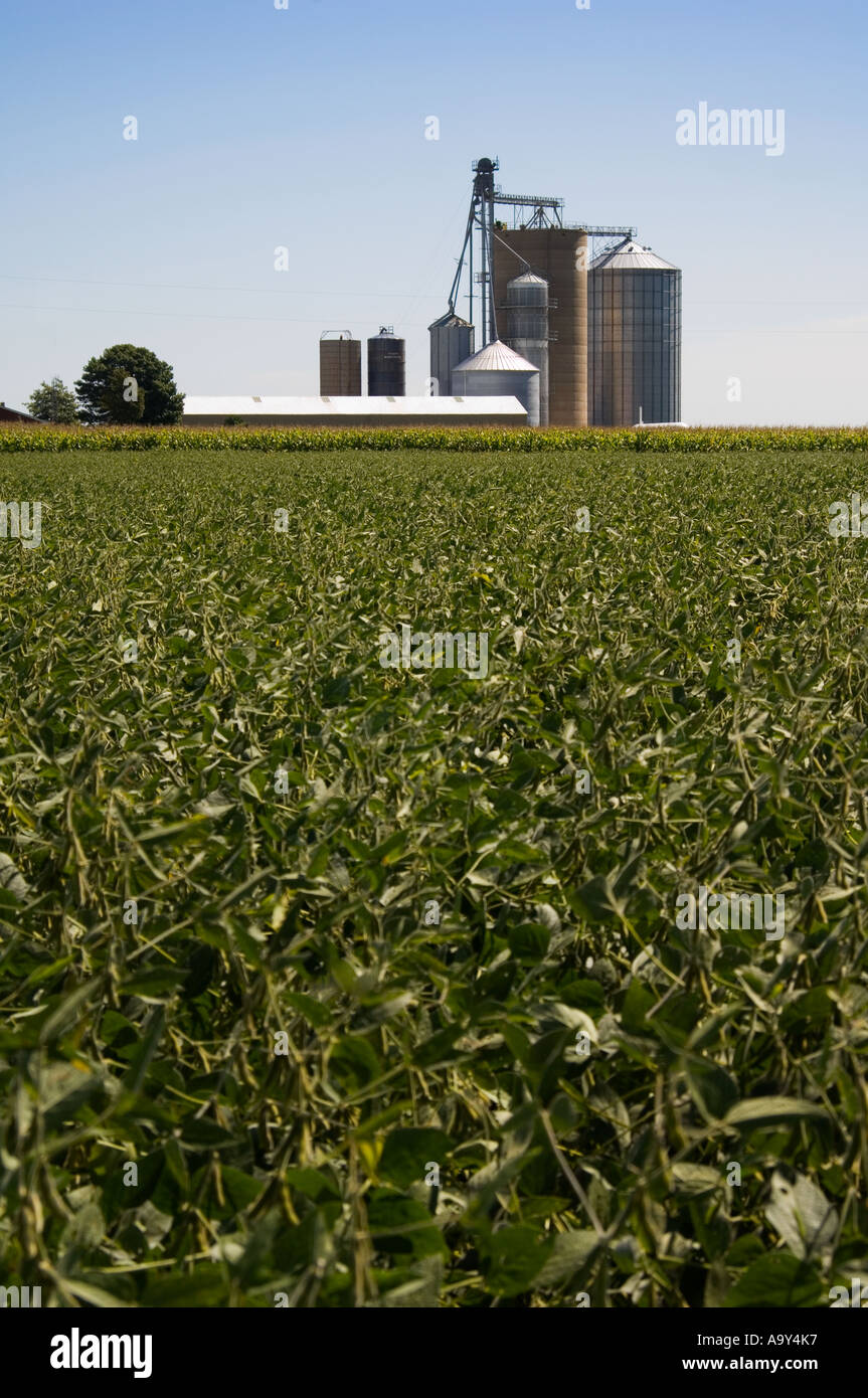 Soybean elevator hi-res stock photography and images - Alamy