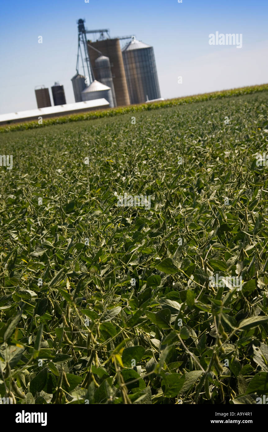 Soybean elevator hi-res stock photography and images - Alamy