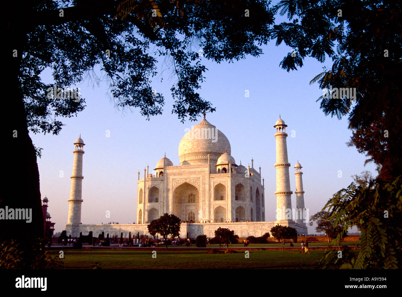 Taj mahal framed trees hi-res stock photography and images - Alamy