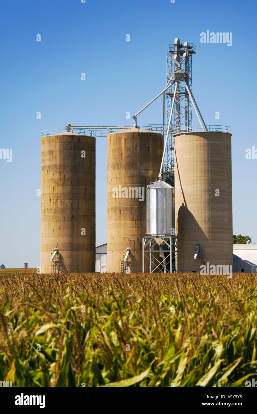 Grain bins with corn field in front Stock Photo - Alamy