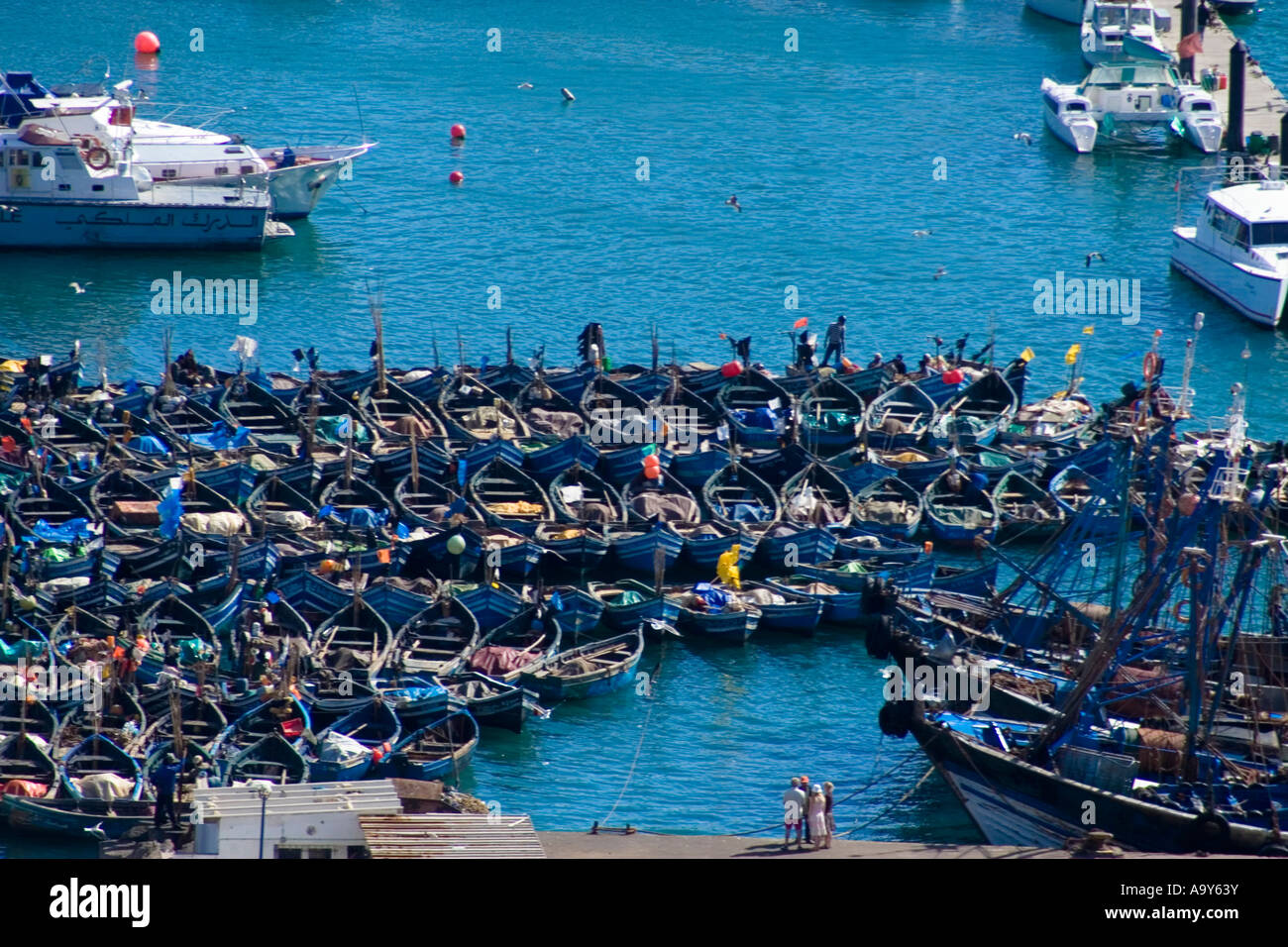 agadir bay factory fish fleet Morocco 2007 Stock Photo - Alamy