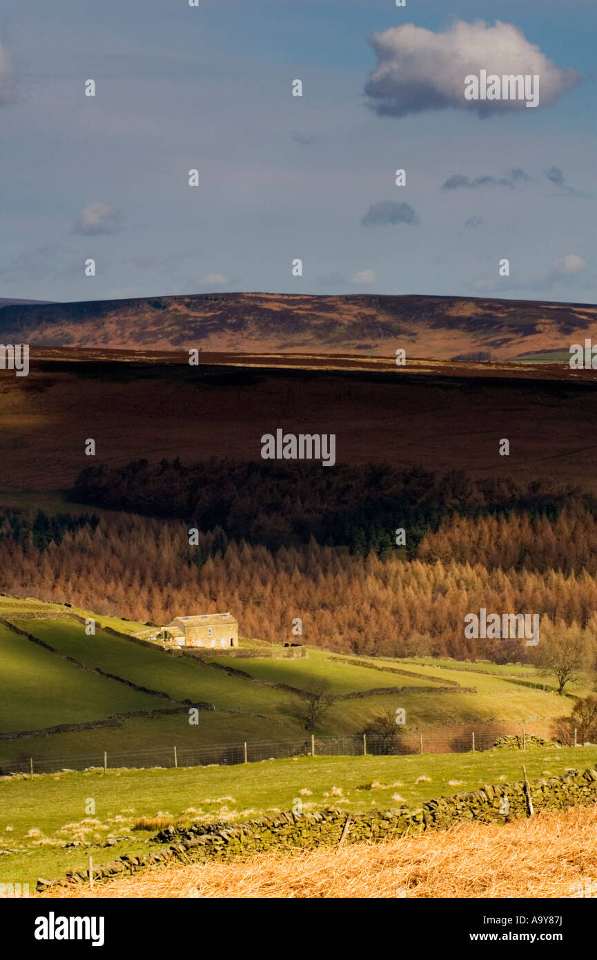 Abney low hi-res stock photography and images - Alamy