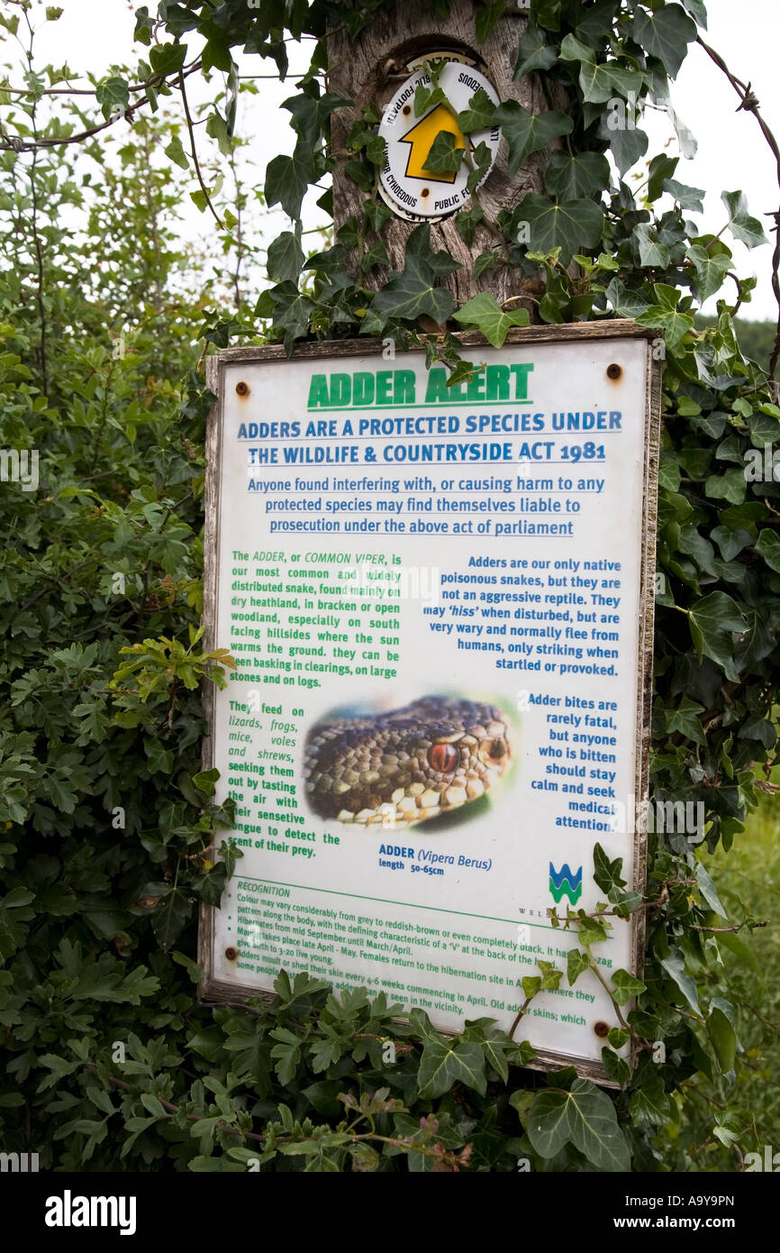 Adder warning hi-res stock photography and images - Alamy