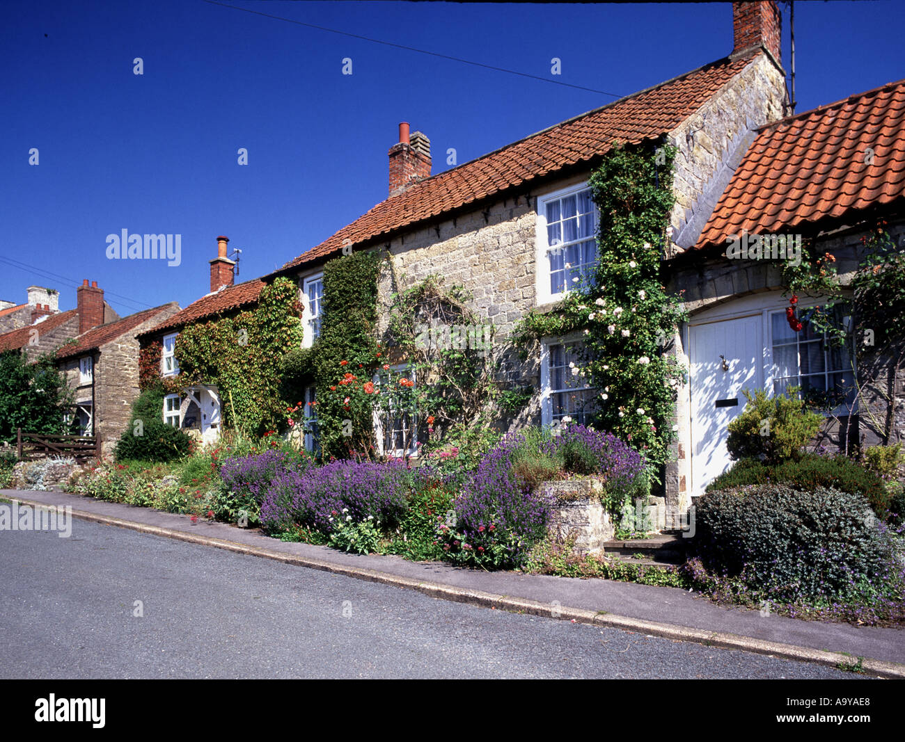 Cottages Lockton Village North York Moors England Stock Photo - Alamy