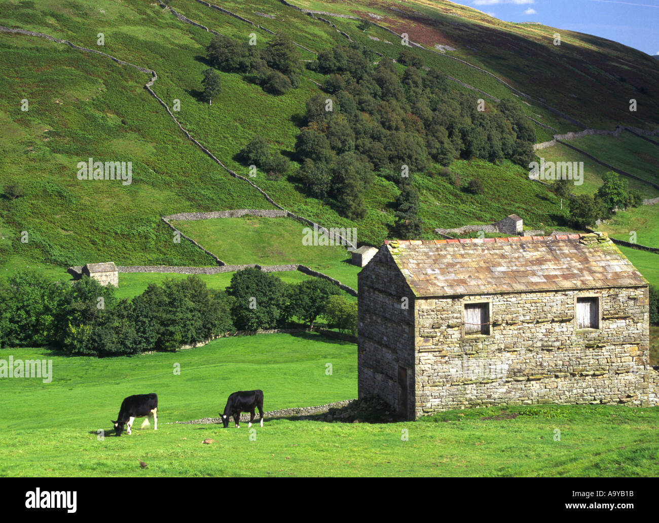 Stone Barns Swaledale Yorkshire Dales England Stock Photo - Alamy