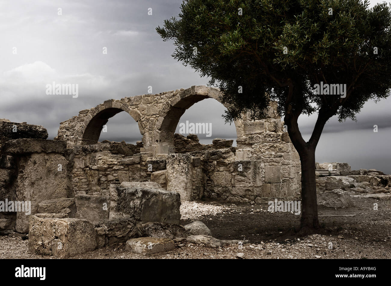 Lonely tree among the ruins of an ancient remains Stock Photo - Alamy
