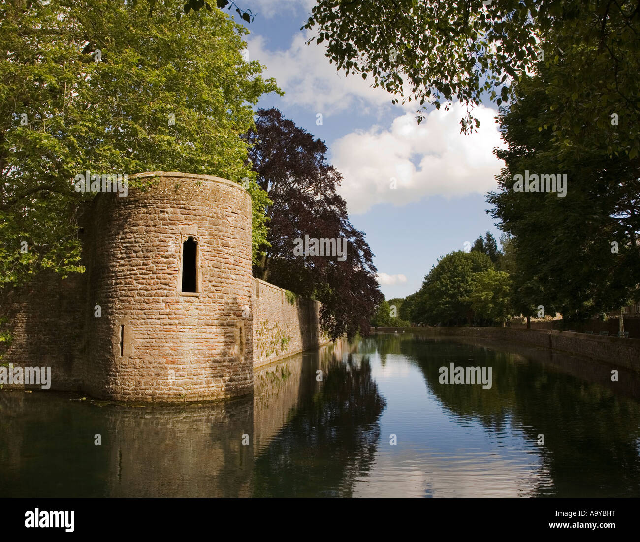 The moat around the Bishop's Palace Wells England UK Stock Photo - Alamy