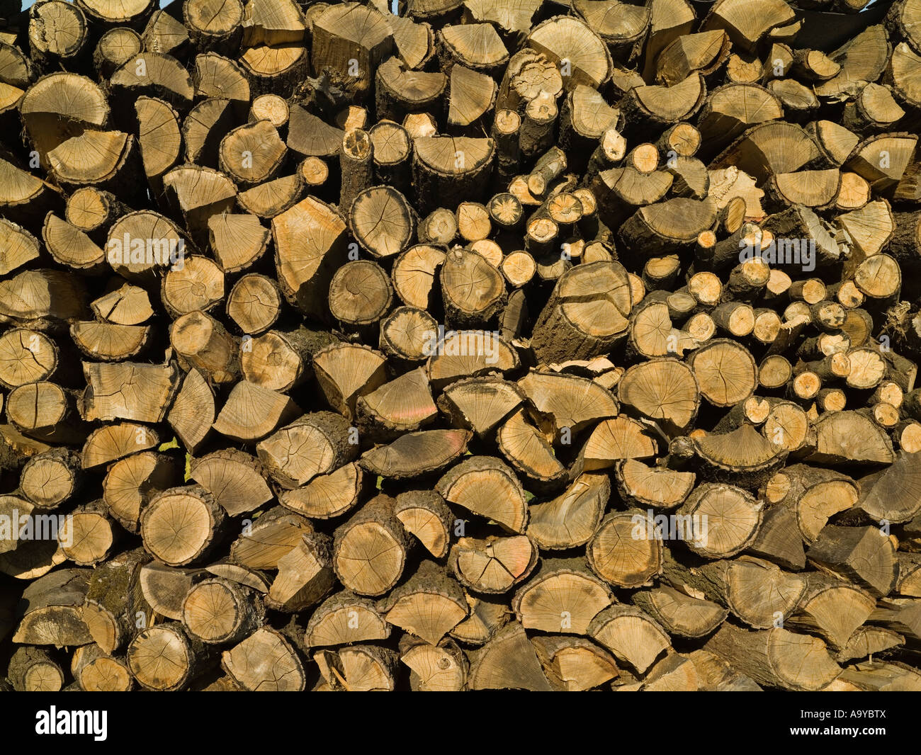 pile of cut wood Stock Photo - Alamy